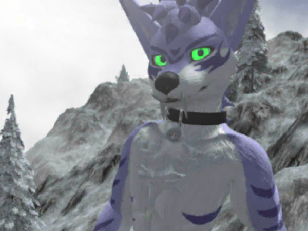 xPoly’s Furry Quest Avatars – Wolfoshi, French Furry Exploring Worlds in VR