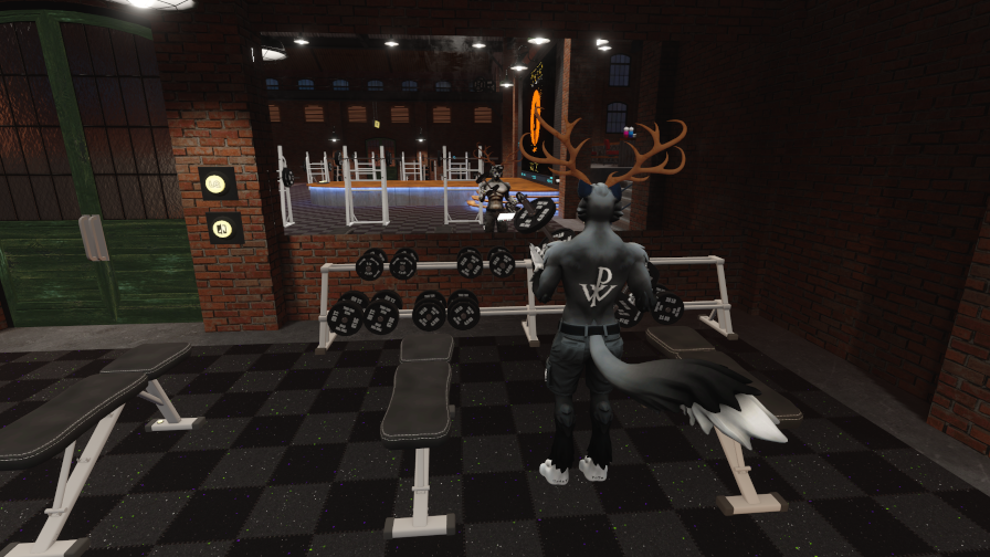 Two Ton Gym – Wolfoshi, French Furry Exploring Worlds in VR