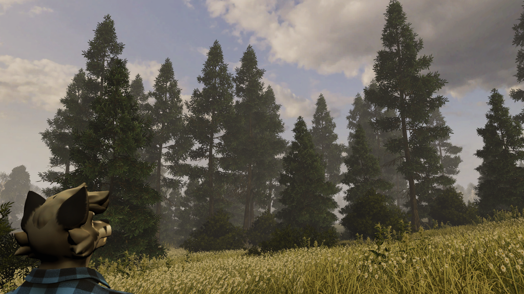 Post Apocalyptic World – Wolfoshi, French Furry Exploring Worlds in VR